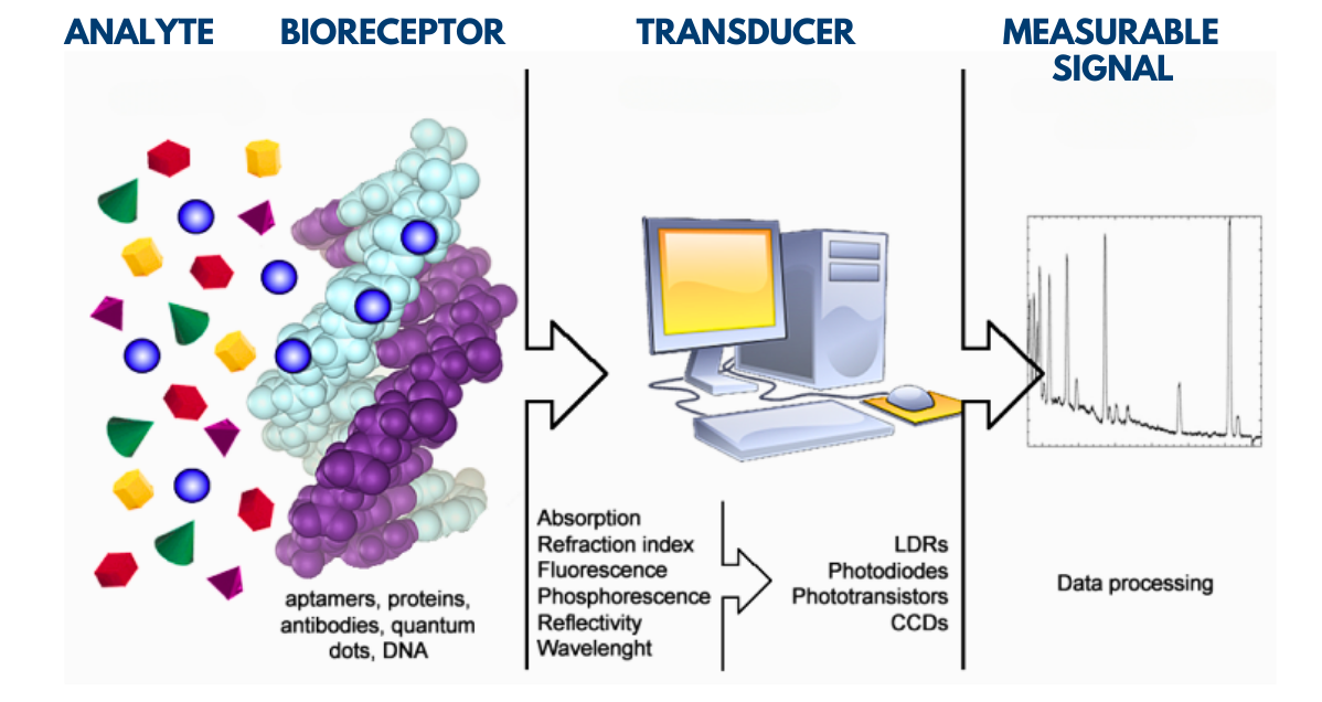 Optical Biosensors: Innovations in Medical Technology