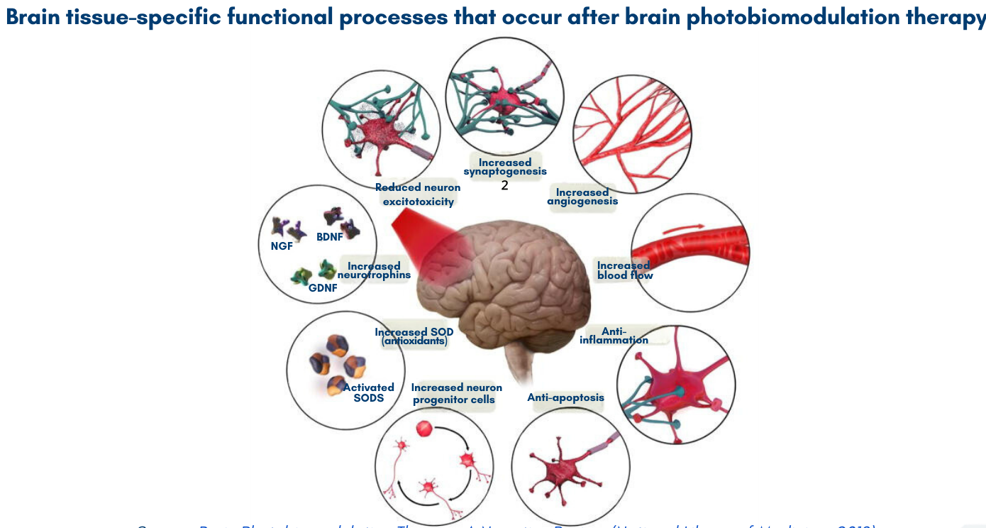 Innovative, Non-Invasive PBM Therapy for Neurological Healing