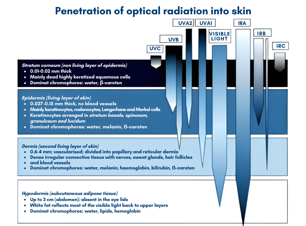 The Role of Light Wavelengths in Medical Applications